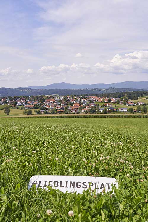 Stadt Grafenau – Bayerischer Wald | Da ist der Bär los